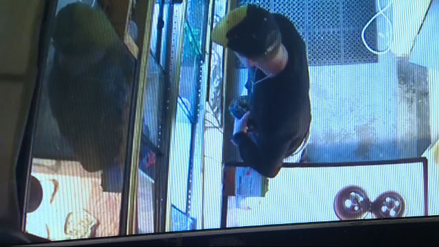 Caught on camera: man steals 2-foot long python by shoving it down his pants - National ...