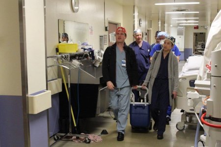 First upper limb transplant performed successfully in Canada ...