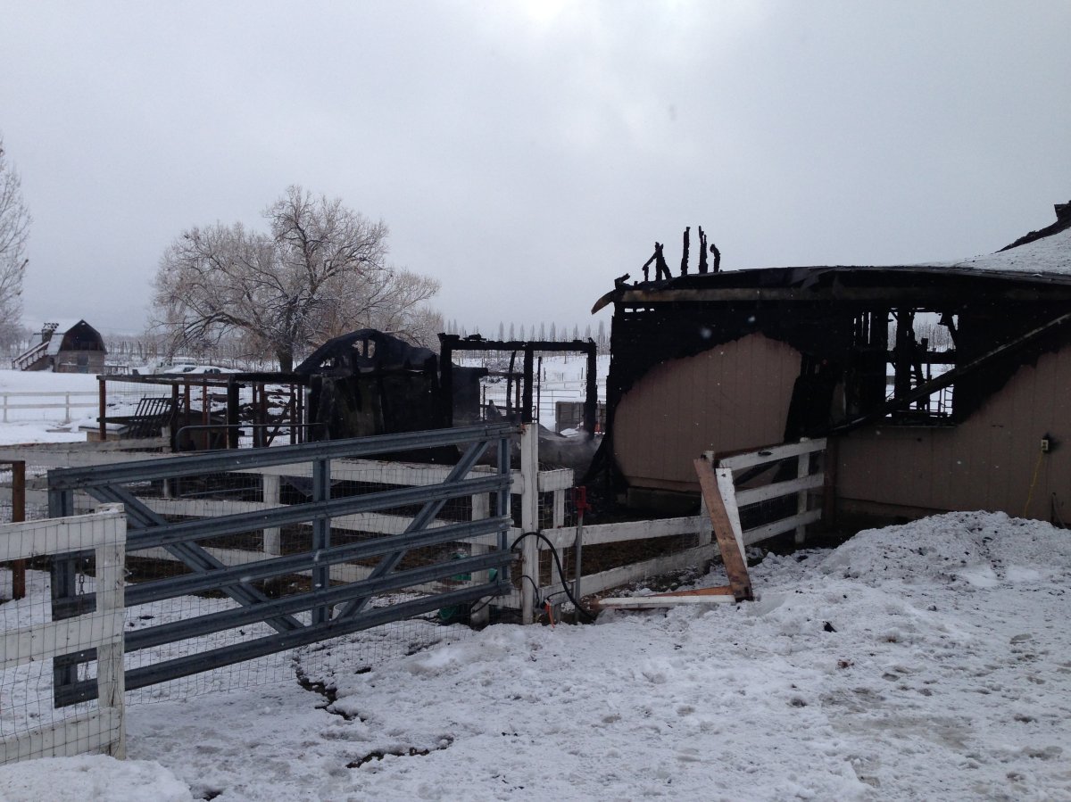 Pony dies in Lake Country barn fire | Globalnews.ca