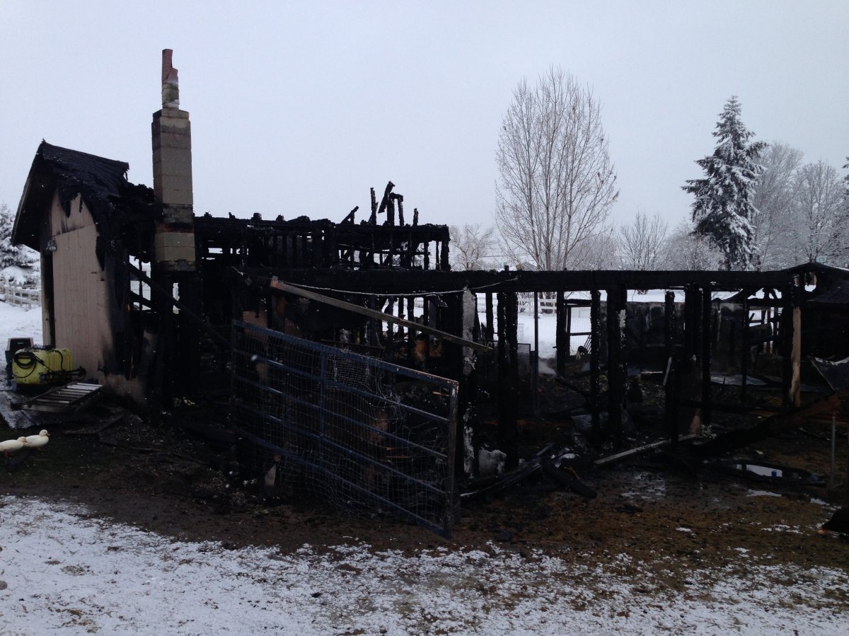 Pony dies in Lake Country barn fire | Globalnews.ca