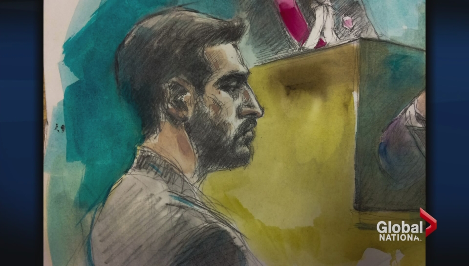 Marco Muzzo: Read the full reasons for sentence here | Globalnews.ca