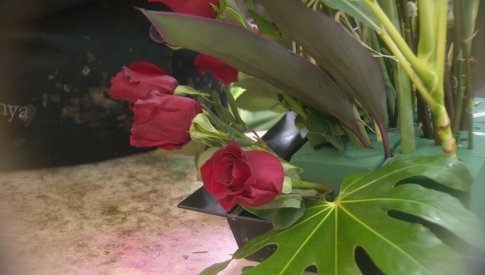 Regina flower shoppe prepares for busy Valentine’s Day - Regina ...