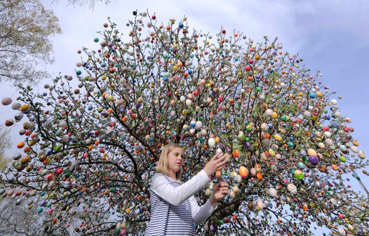 Easter trees: DIY inspiration for an old tradition seeing new life ...