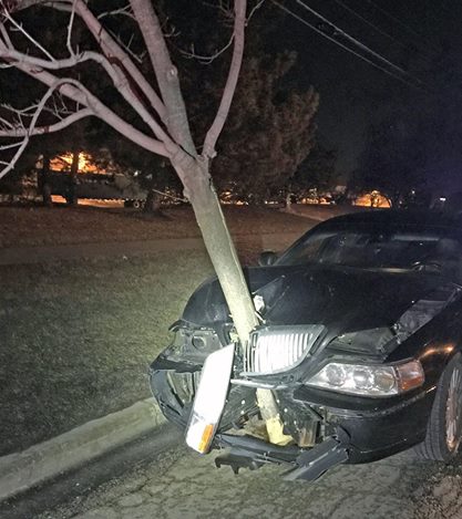 Police arrest woman for driving with 15-foot tree embedded in her car ...