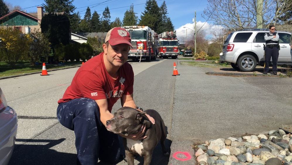 Off-duty firefighter saves pit bull after blaze breaks out - BC ...