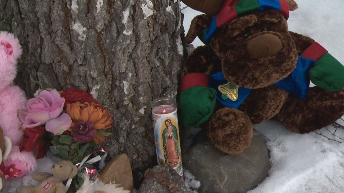 Town of Edson searching for answers after spike in violence | Globalnews.ca