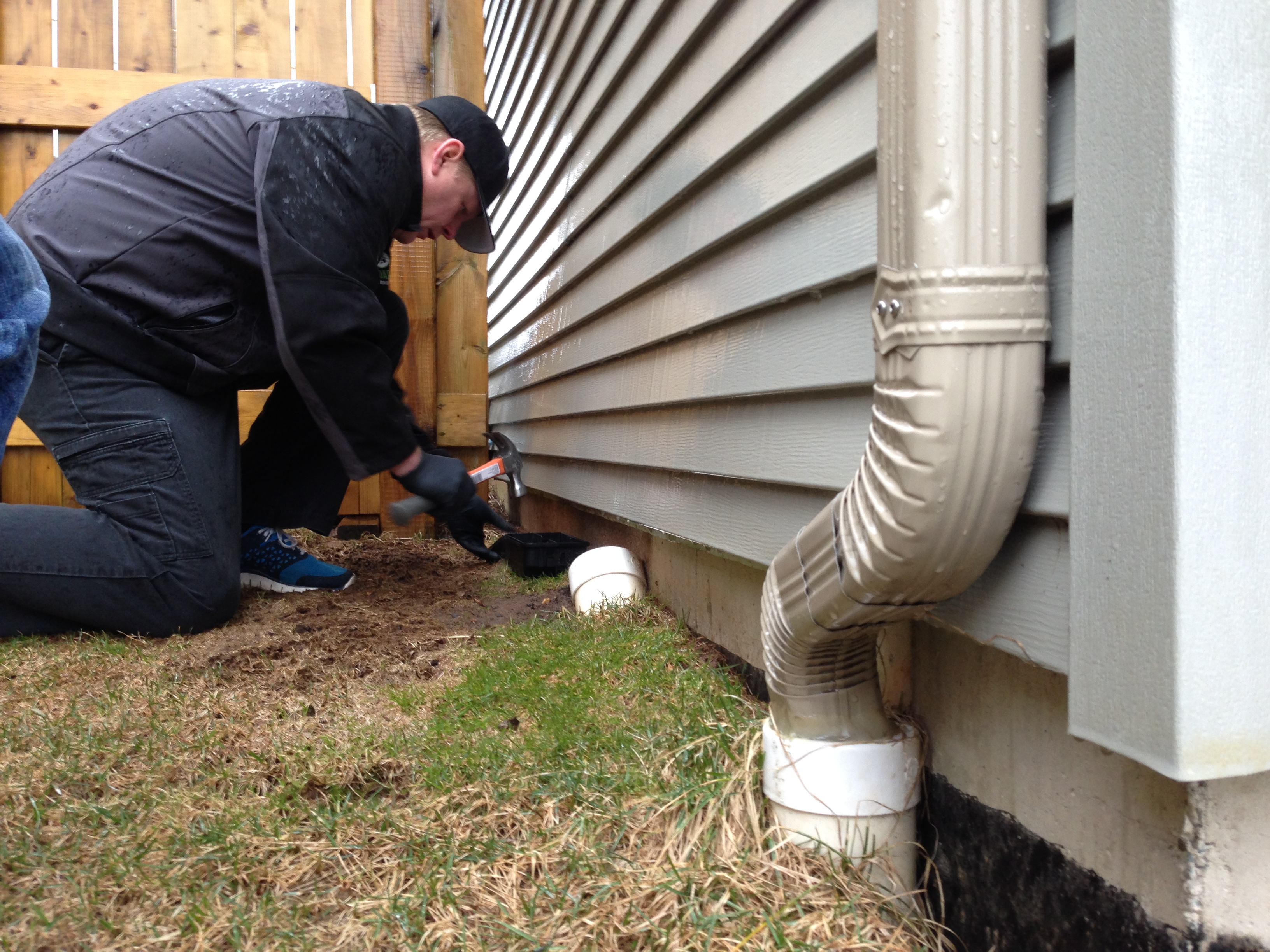 Pest control scurries to keep up with rats during early Halifax spring ...