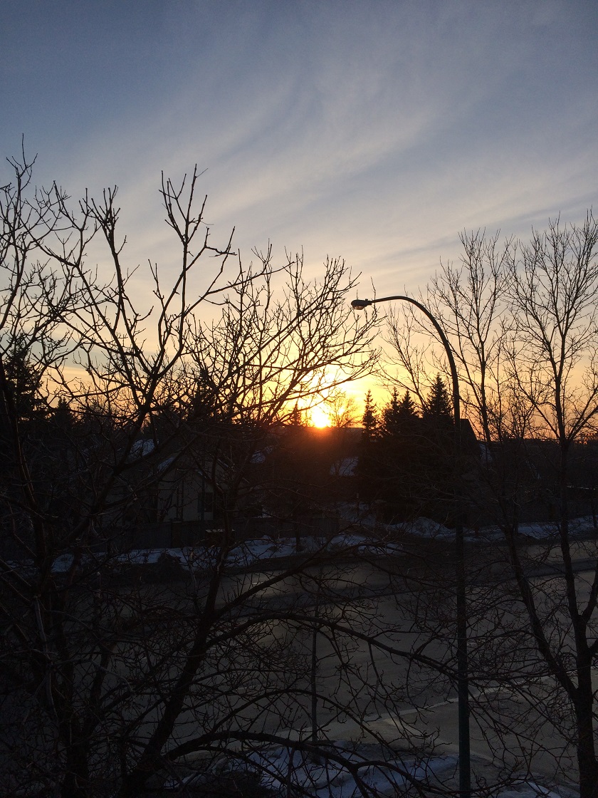 Your Manitoba: March 2016 - Winnipeg | Globalnews.ca