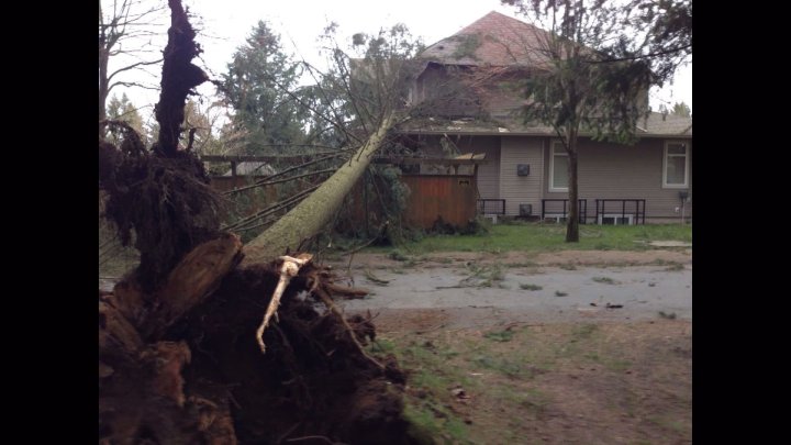 Thousands without power on BC’s South Coast following windstorm - BC ...