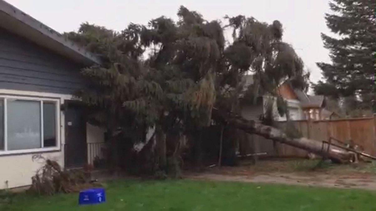 Thousands without power on BC’s South Coast following windstorm - BC ...