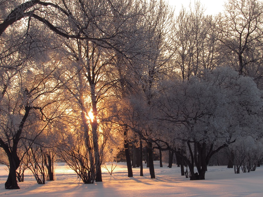 Last blast of snow before Spring in Winnipeg? - Winnipeg | Globalnews.ca