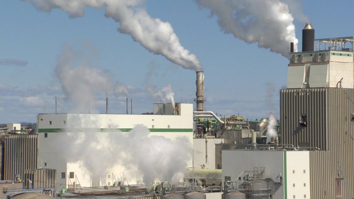 Irving Pulp and Paper in New Brunswick ordered to pay $3.5M for dumping ...