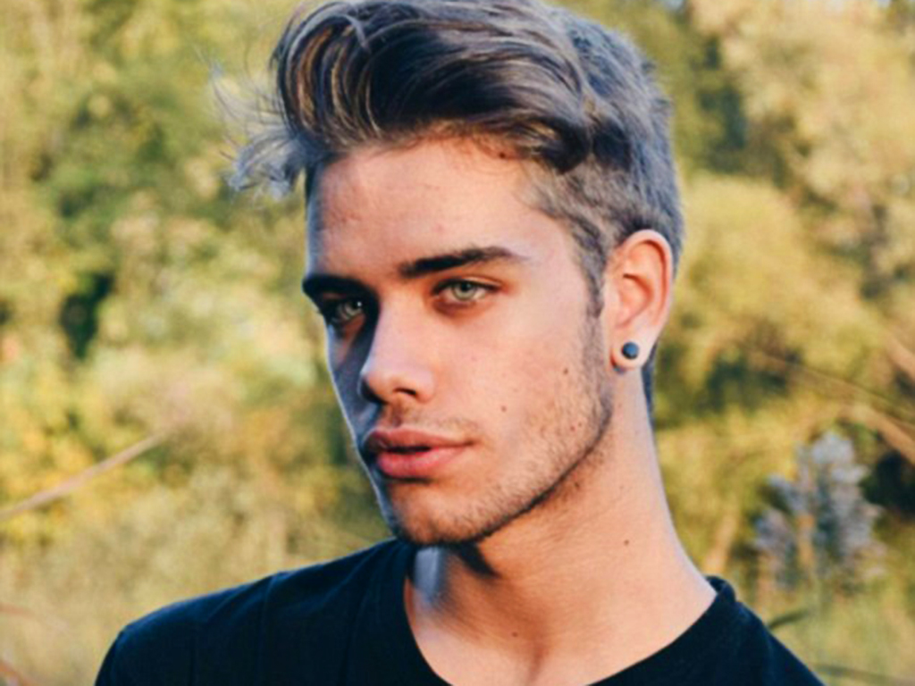 David Carrera: Justin Bieber-Zayn Malik hybrid causes Twitter meltdown ...