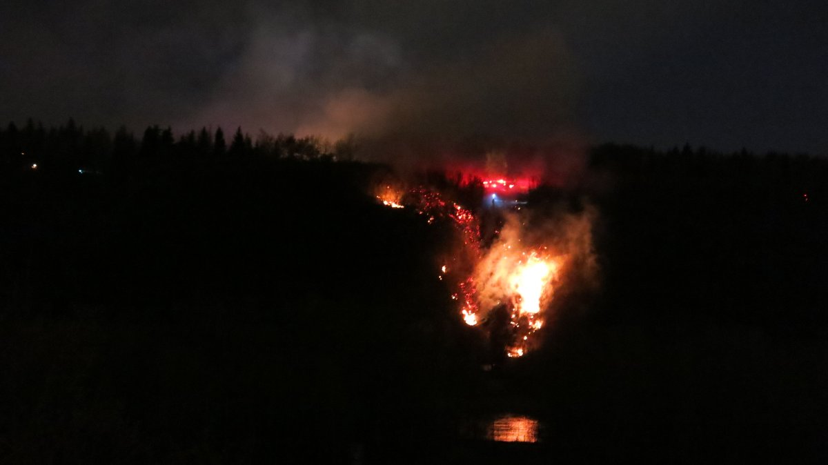 Fire crews battle overnight brush fire in Edmonton river valley ...