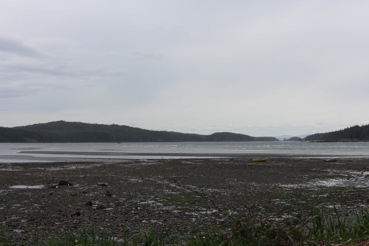 Port Hardy, a place of history, beauty and the great outdoors ...