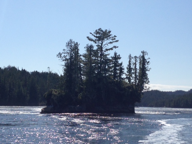 Navigating the fastest tidal surge in the world is part of First ...