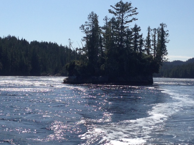 Navigating the fastest tidal surge in the world is part of First ...