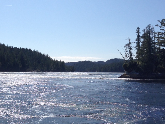 Navigating the fastest tidal surge in the world is part of First ...