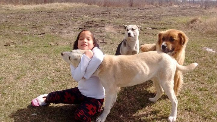 Dogs protect little girl missing in northern Alberta woods | Globalnews.ca