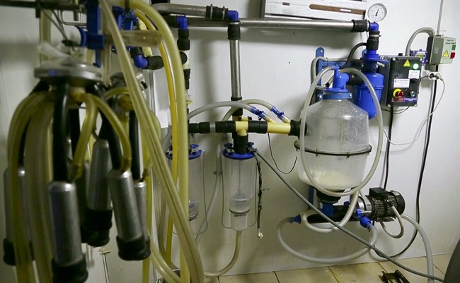 Chernobyl: High radiation levels found in Belarus milk, 30 years after ...