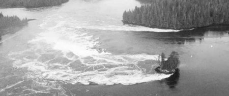 Navigating the fastest tidal surge in the world is part of First ...