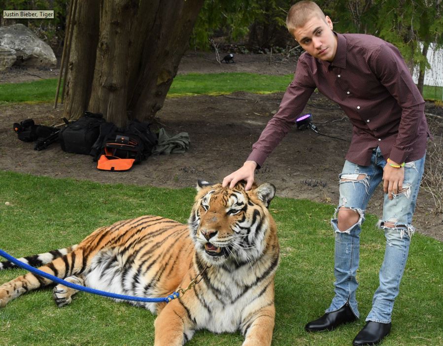 Justin Bieber’s family denies involvement with controversial ...