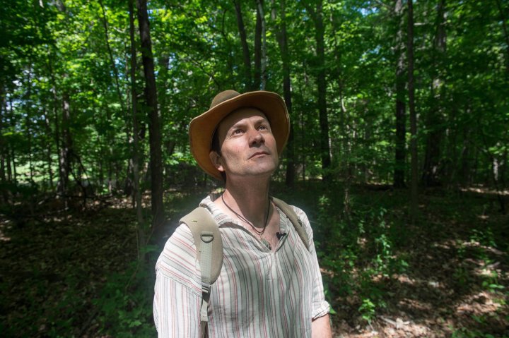 What is forest bathing? | Globalnews.ca