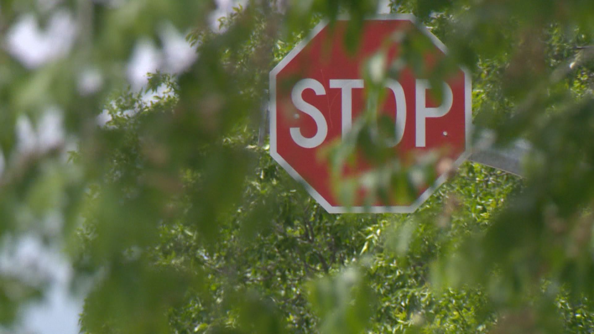 Watch out for branches blocking some stop signs in Regina - Regina ...