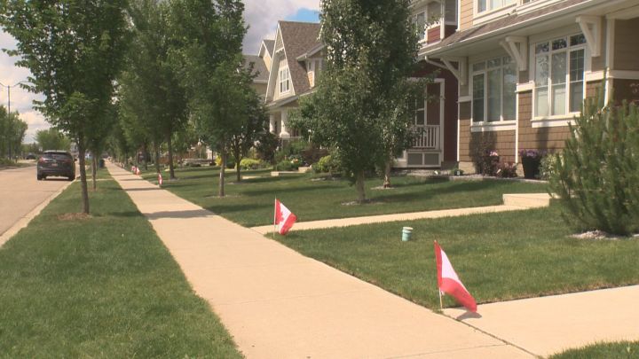 ‘The community really loves it’: patriotic Edmontonian decorates ...