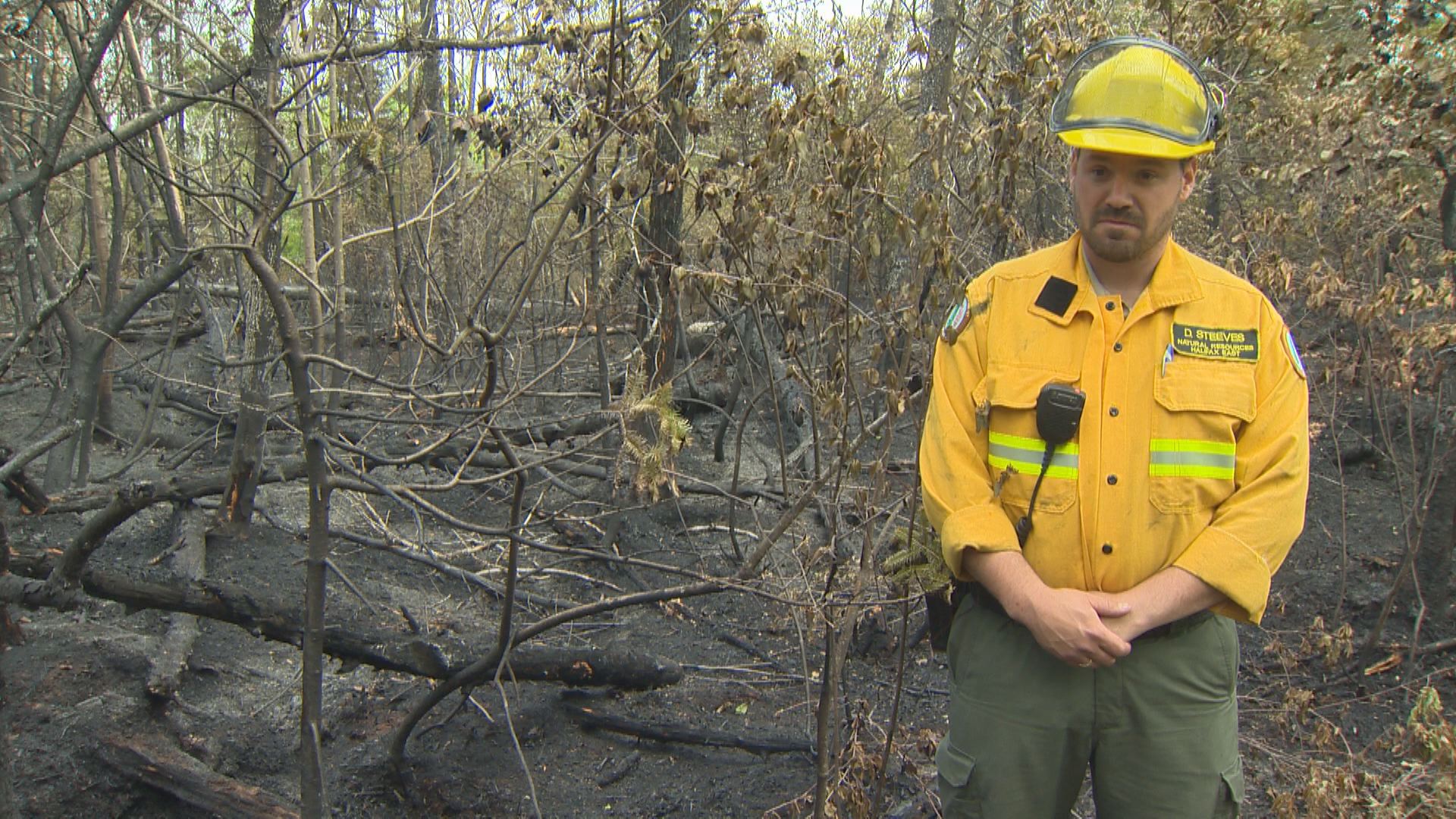 Crews now in ‘mop-up phase’ in wildfire battle near Bayers Lake ...