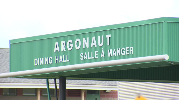 Camp Argonaut | News, Videos & Articles