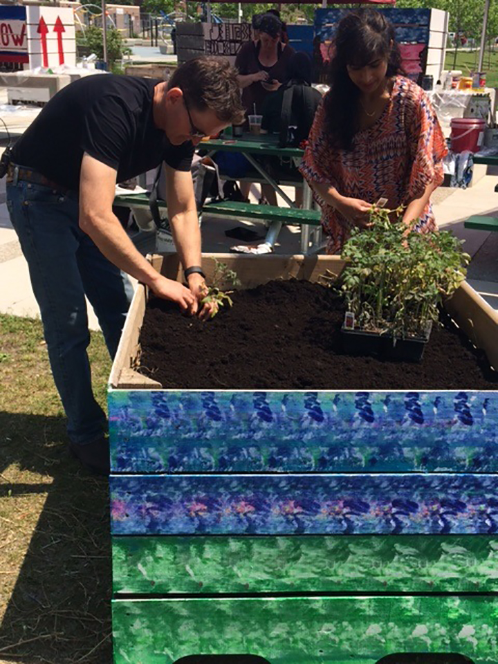 Ontario farm repurposing apple boxes as planters for families in need ...