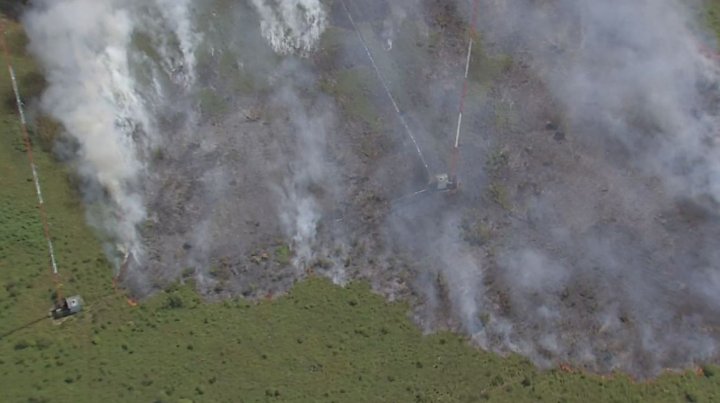 Crews battle large fire in Burns Bog; BC Wildfire Service assisting ...