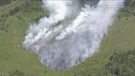 Crews battle large fire in Burns Bog; BC Wildfire Service assisting ...