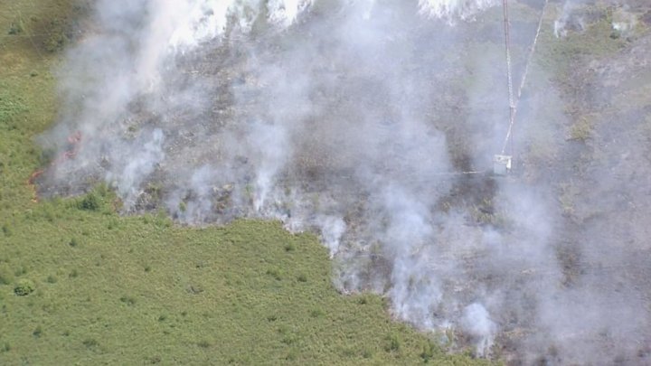 Crews battle large fire in Burns Bog; BC Wildfire Service assisting ...