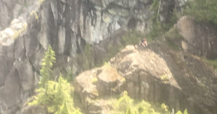 North Shore Rescue save man stuck on cliff overnight | Globalnews.ca