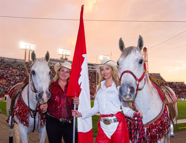 New rider and new horse at Calgary Stampeders games | Globalnews.ca