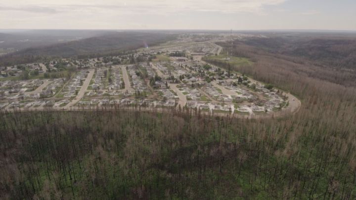 ‘There were thousands of trees lost’: Tree Canada to help Fort McMurray ...