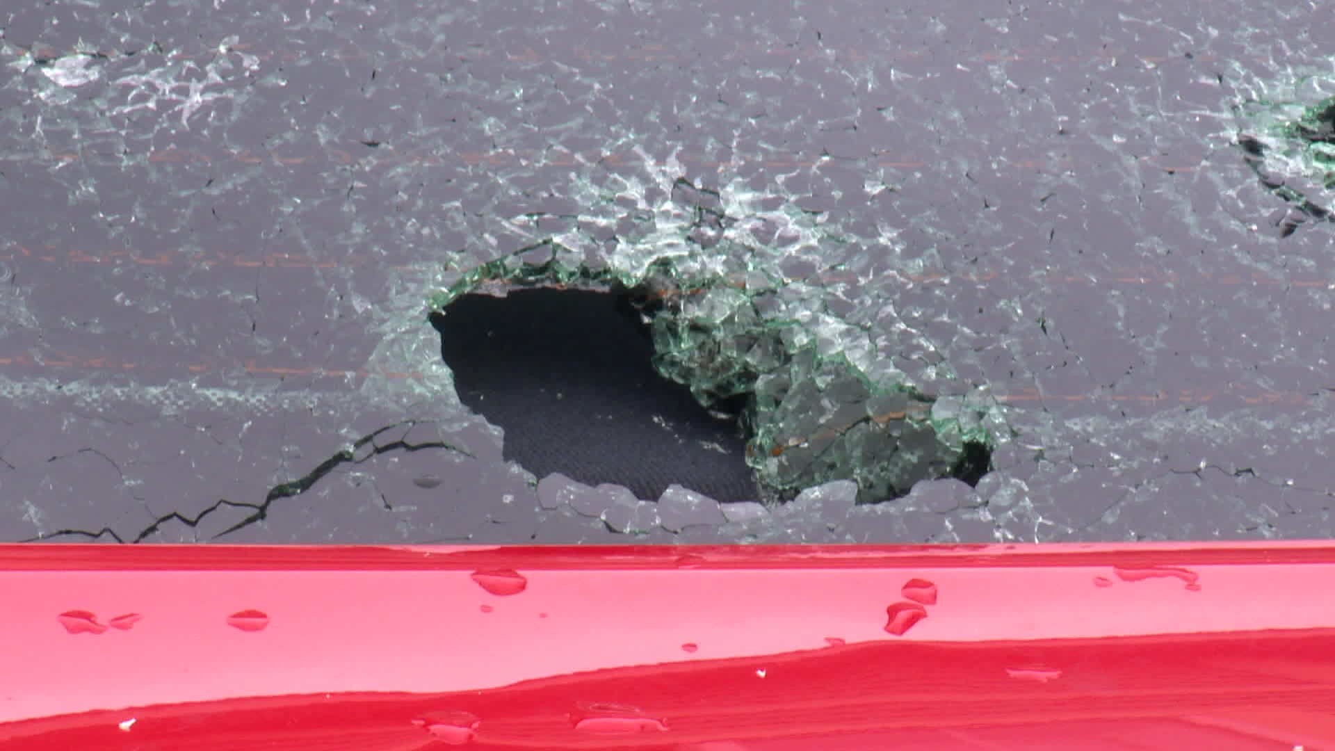 Hail storm damaged cars, homes and injured 12-year-old girl in Calgary ...