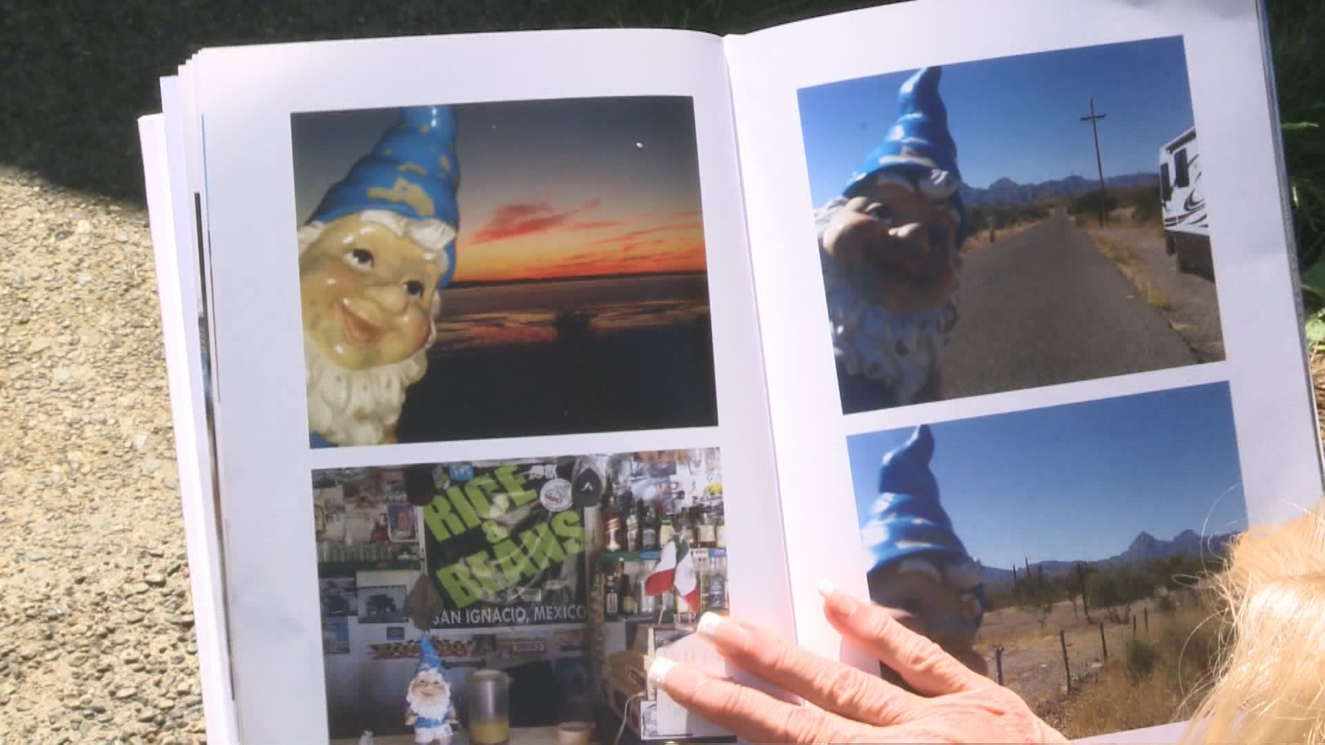 Stolen gnome returned to B.C. home with album full of adventures ...