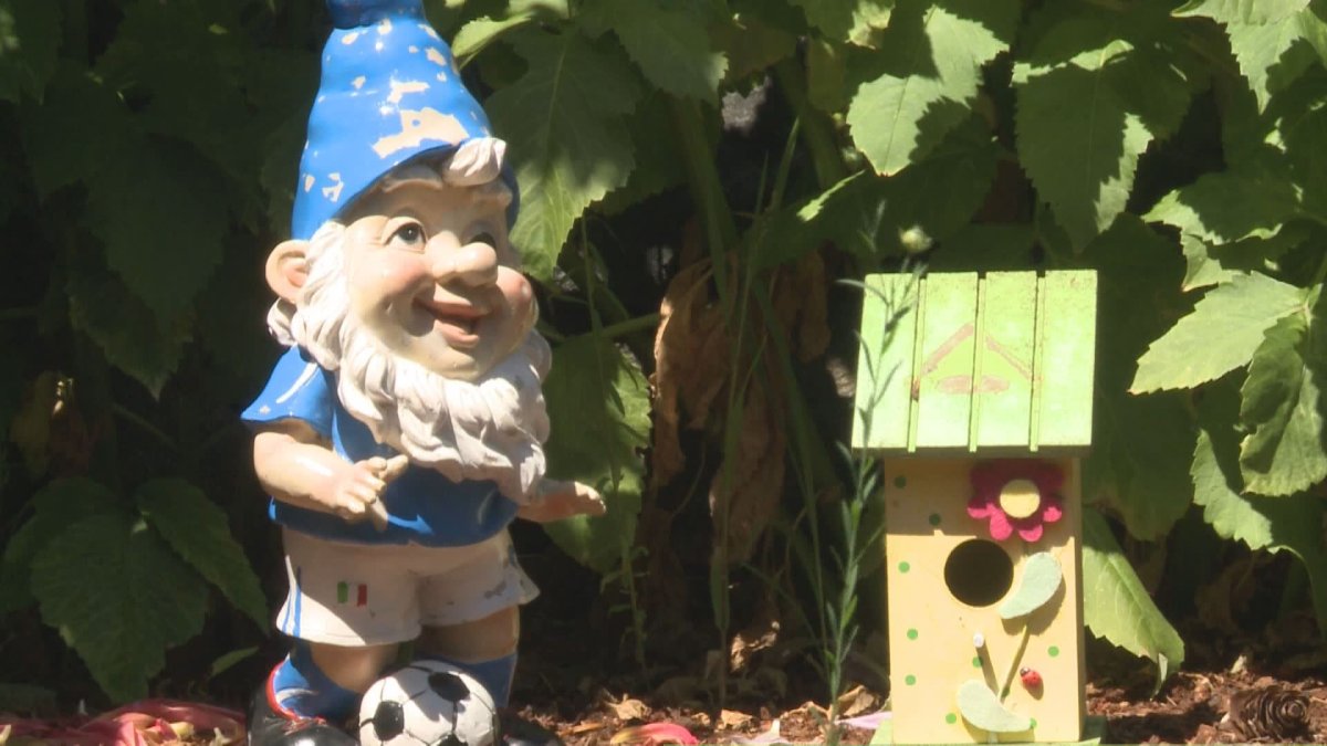 Stolen gnome returned to B.C. home with album full of adventures ...