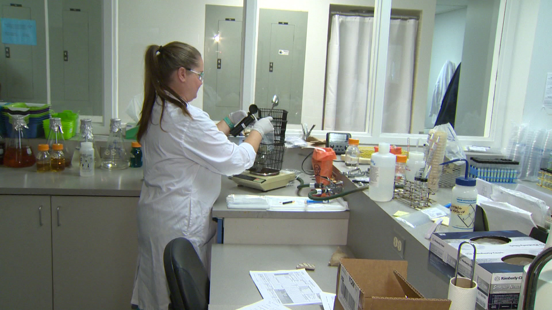 N.B. medical marijuana test lab sees opportunity in legalization ...