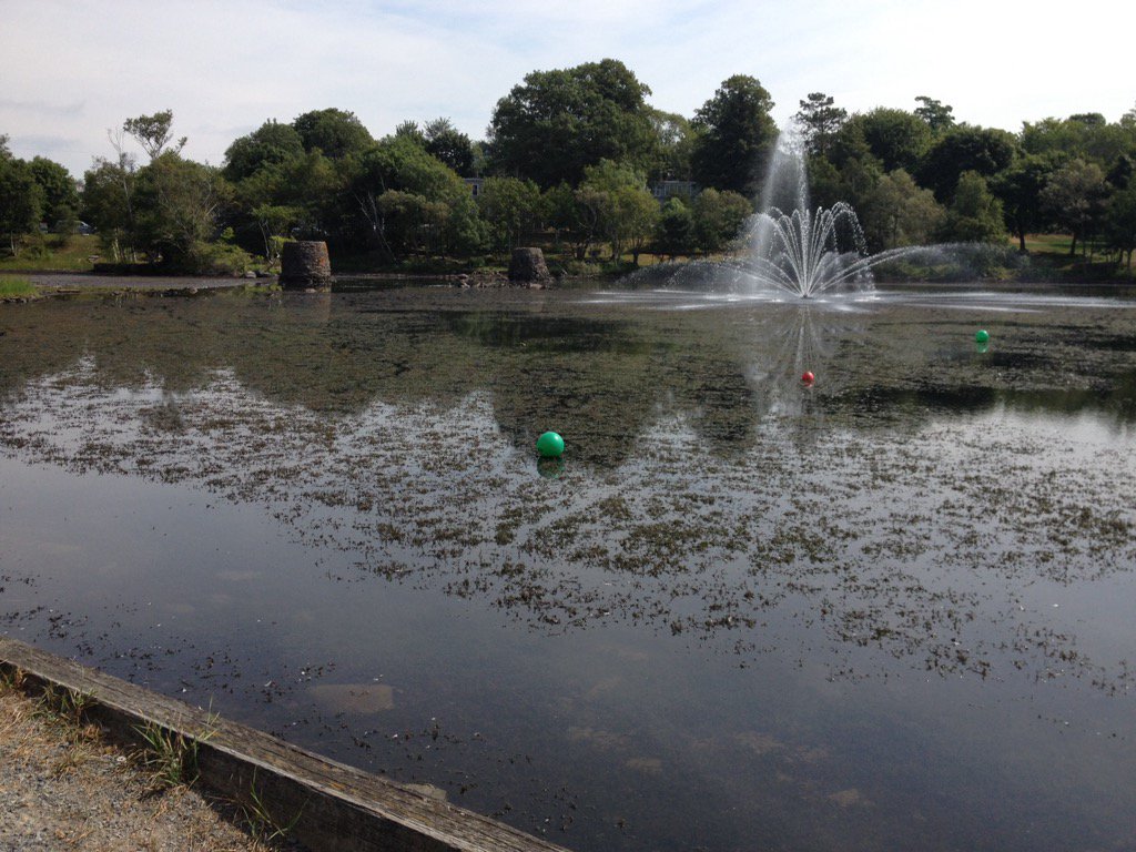 Dry weather makes for extremely low water levels in Halifax-area lakes ...