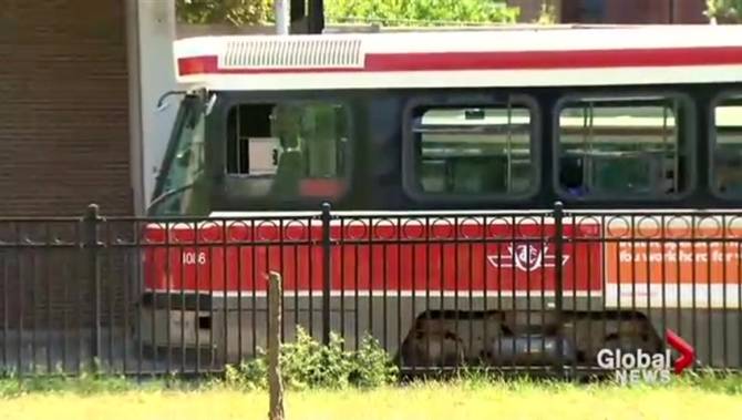 TTC suspends driver for failing random drug test - Toronto | Globalnews.ca