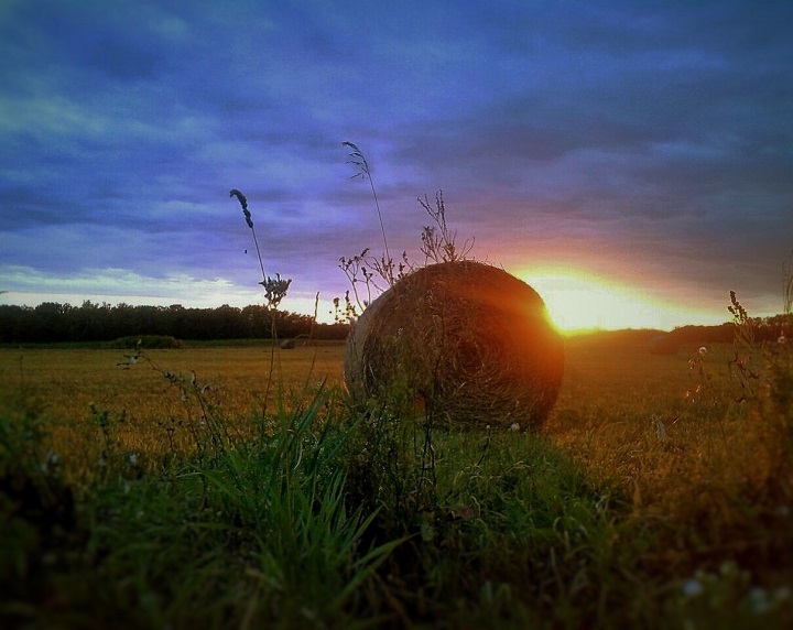 Pleasant weather heading into the first day of fall - Winnipeg ...