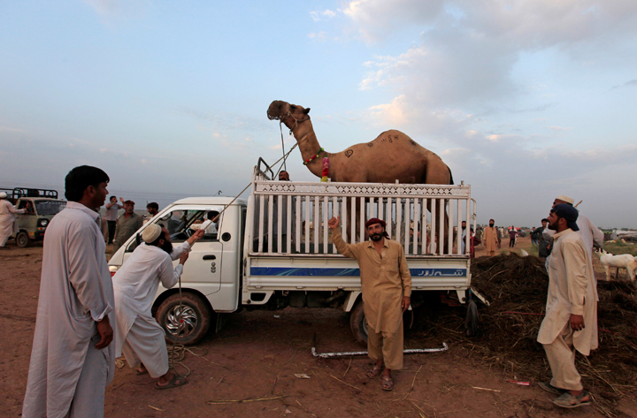 Eid al-Adha: What you need to know about the Muslim ‘Festival of ...