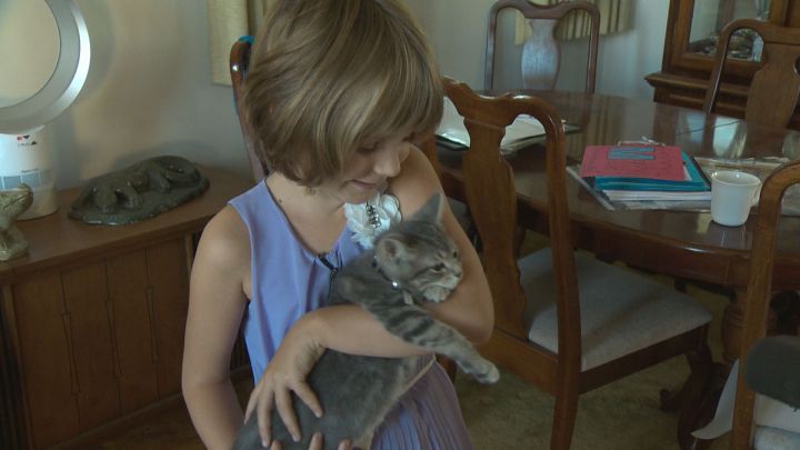 Young Edmonton cancer survivor thriving 1 year after SpiderMable ...