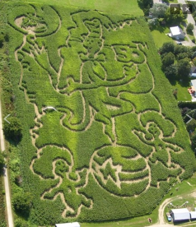 New Brunswick corn maze latest celebration of iconic Jose Bautista bat ...