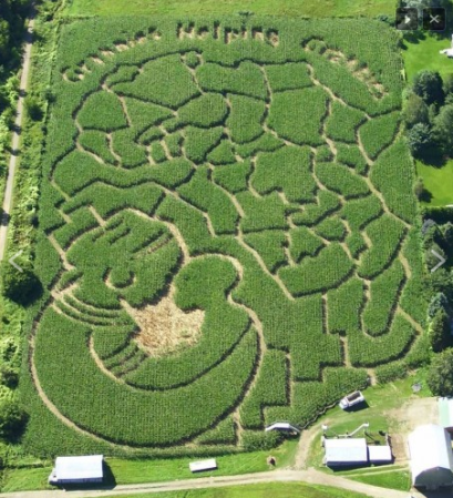 New Brunswick corn maze latest celebration of iconic Jose Bautista bat ...