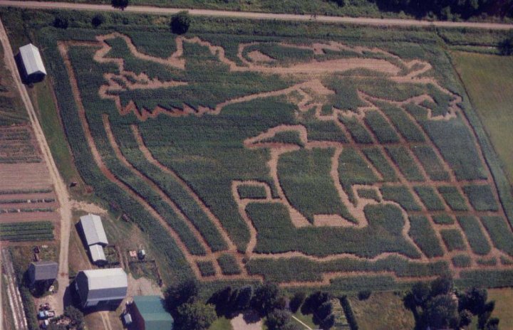 New Brunswick corn maze latest celebration of iconic Jose Bautista bat ...